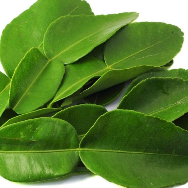 15 manfaat daun jeruk purut untuk obat herbal – Fumy Herbal-Alam